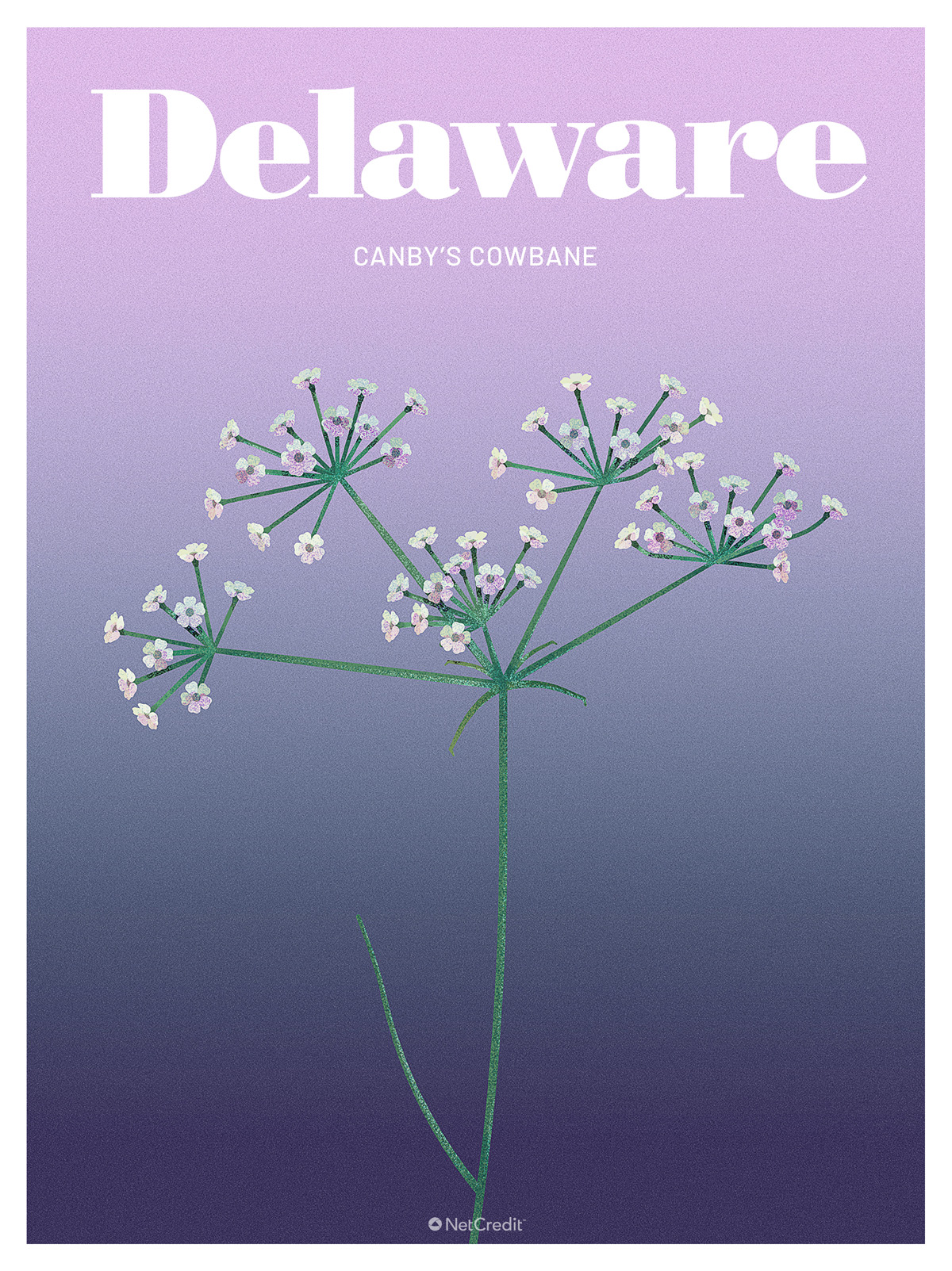 An Illustrated Tribute to the Most Endangered Plant in Every U.S. State ...