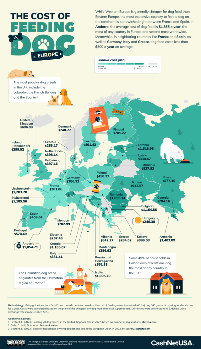 The Cost of Feeding Your Dog in Every Country - CashNetUSA Blog