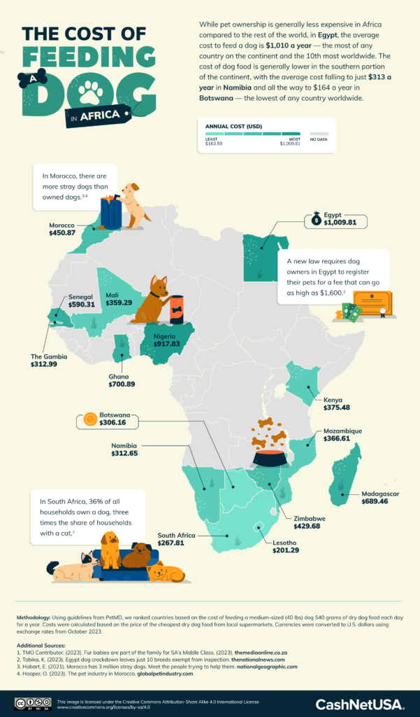 The Cost of Feeding Your Dog in Every Country - CashNetUSA Blog